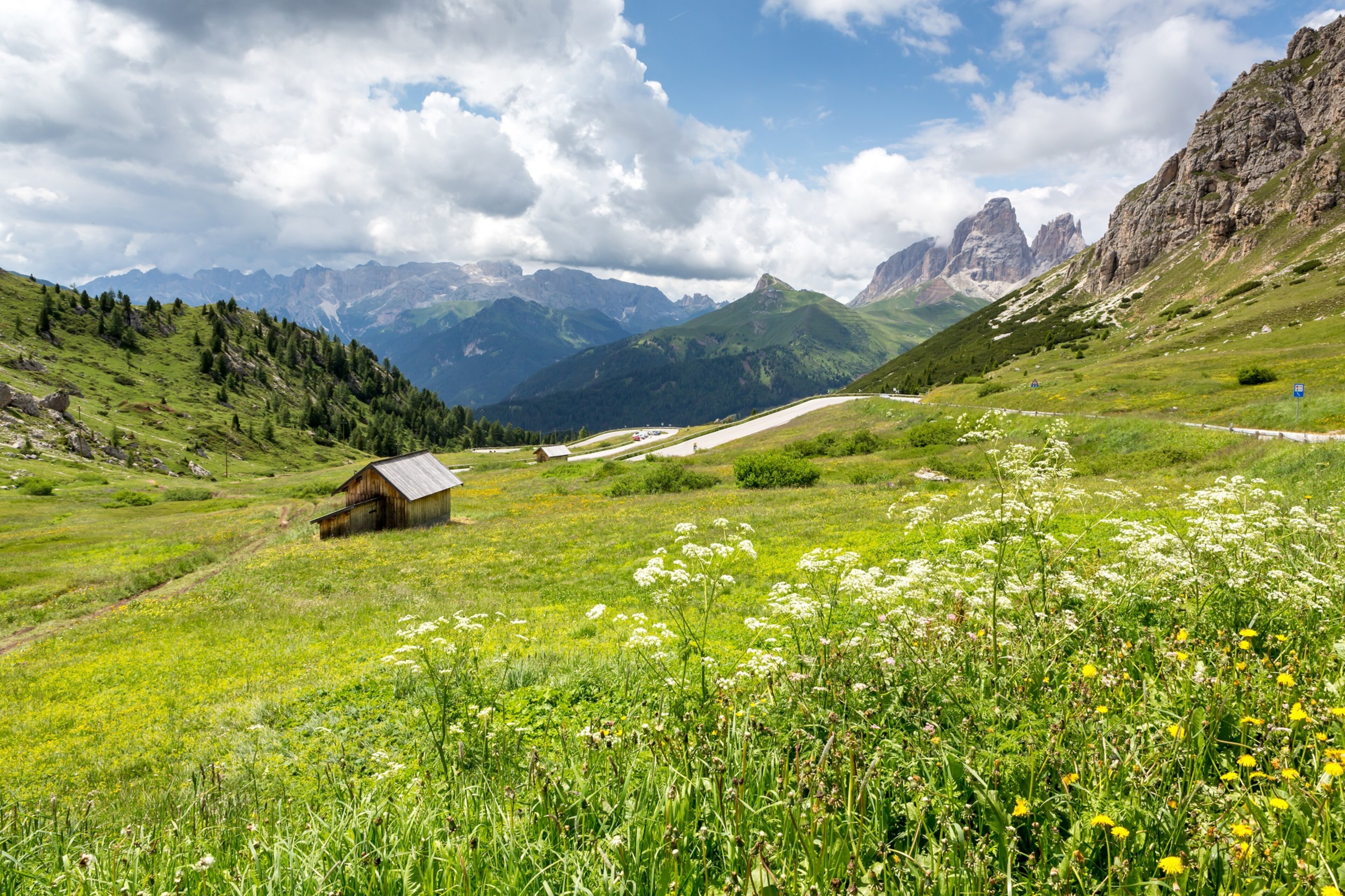 Panoramic maps summer & winter - Val di Fassa