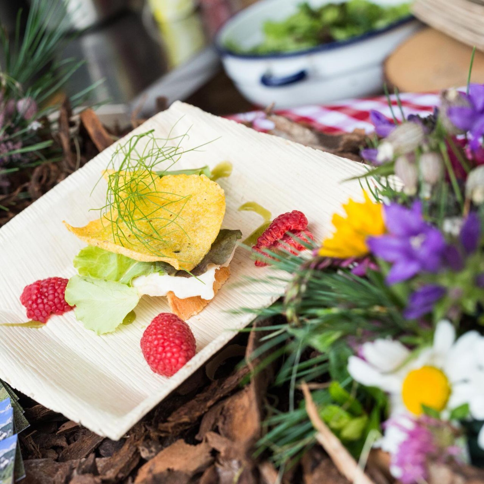 Val di Fassa Tourist Board Official Site