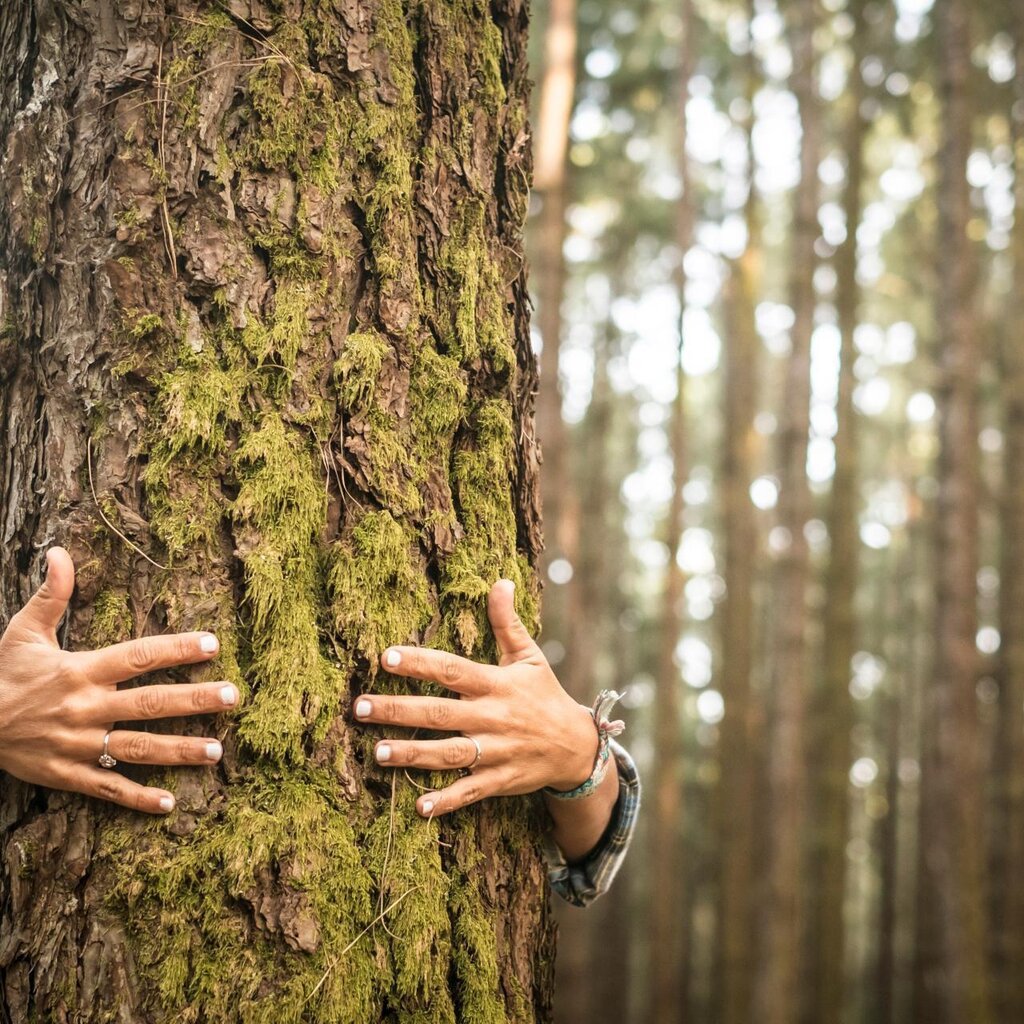 Val di Fassa - Sito ufficiale Azienda per il Turismo