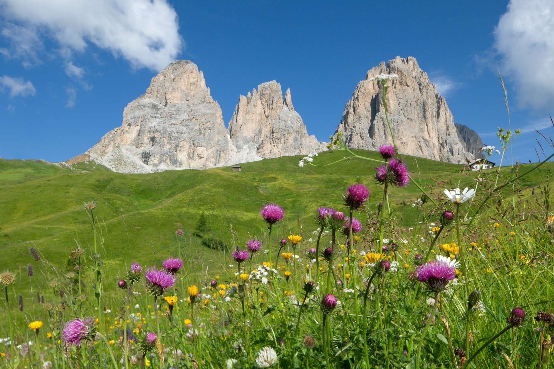 Campitello (Col Rodella) - Sentiero Friedrich August - Passo Duron ...