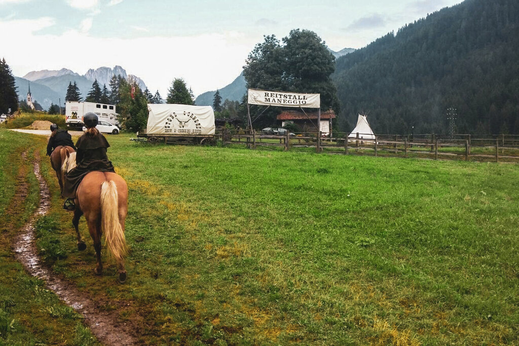 Horse Ranch Highland Cattle