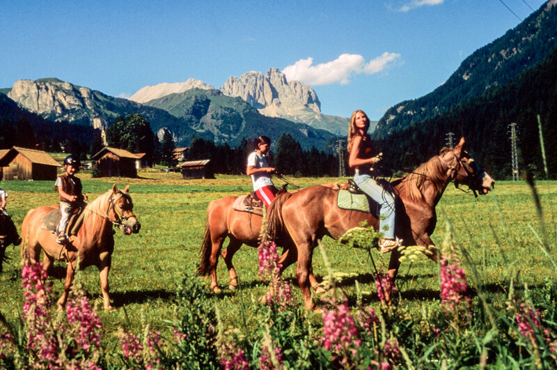 Horse Ranch Highland Cattle