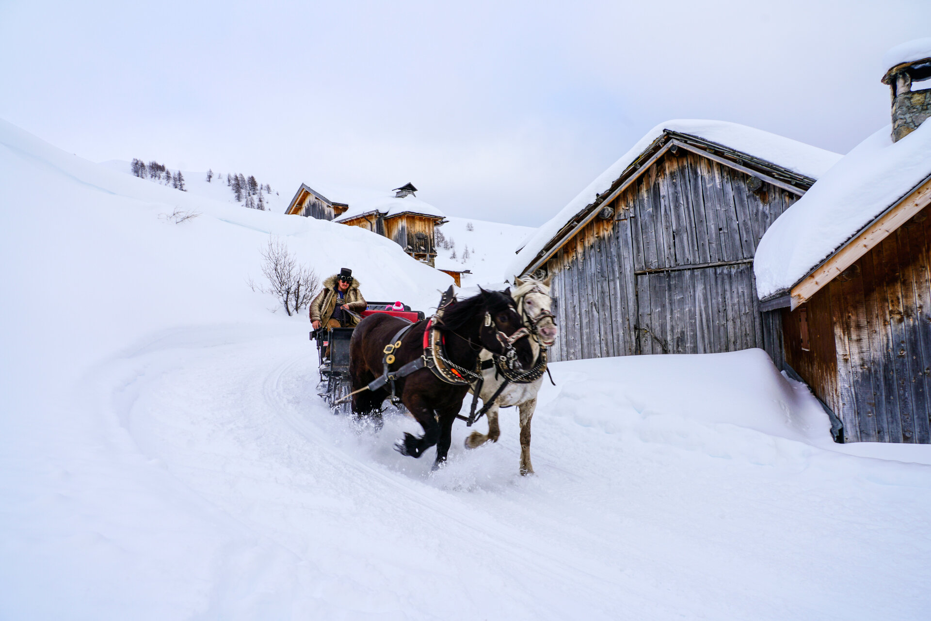 Gite in slitta in Val di Fassa